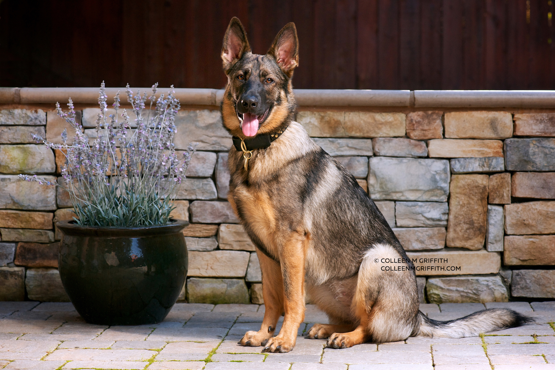 The Investigative Team – Lost Clipper